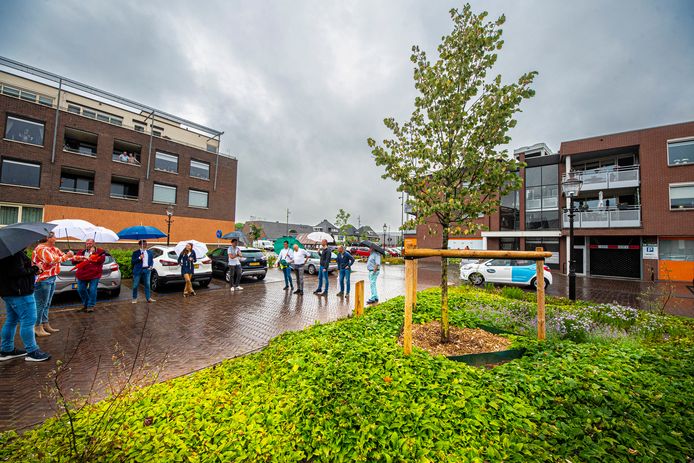 Losser vordert ‘gestolen’ grond bij inwoners terug; mogelijk 1200 ...