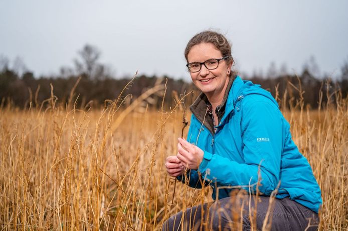 Hooibeekhoeve zoekt gidsen voor rondleidingen op melkveebedrijf | Geel ...