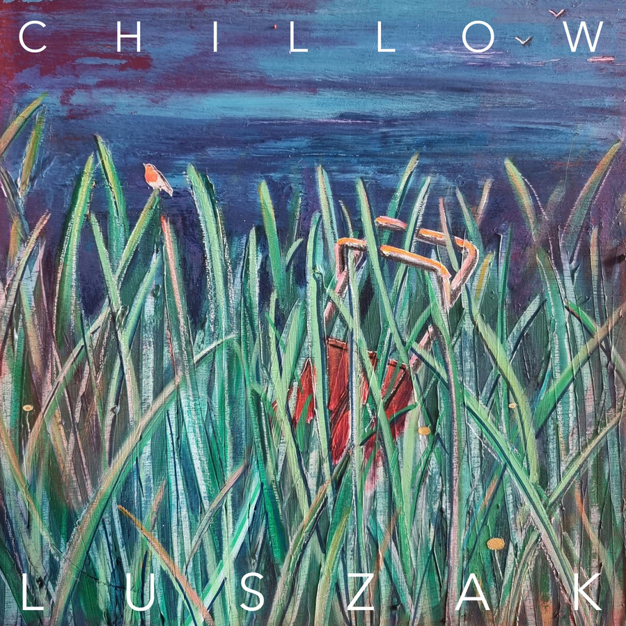 Chillow lanceert nieuwe single Luszak | Foto | hln.be