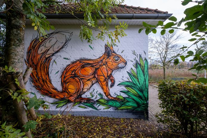 Straatartiest Dzia neemt prieeltje in park onder handen: “Hopelijk ...