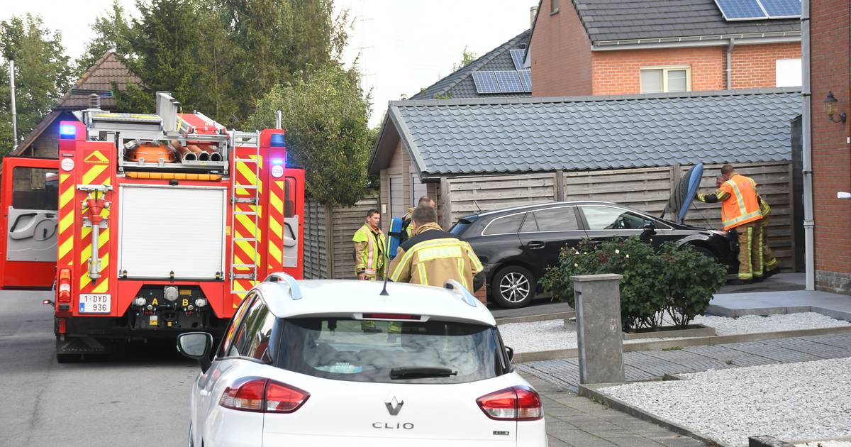 Rook onder motorkap van geparkeerde auto | Lendelede | hln.be