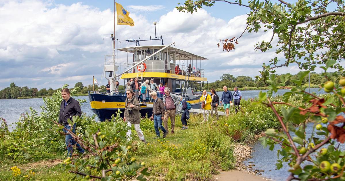 Verrassingsvaart met Blauwe Bever ‘landt’ in Betuwse uiterwaarde ...