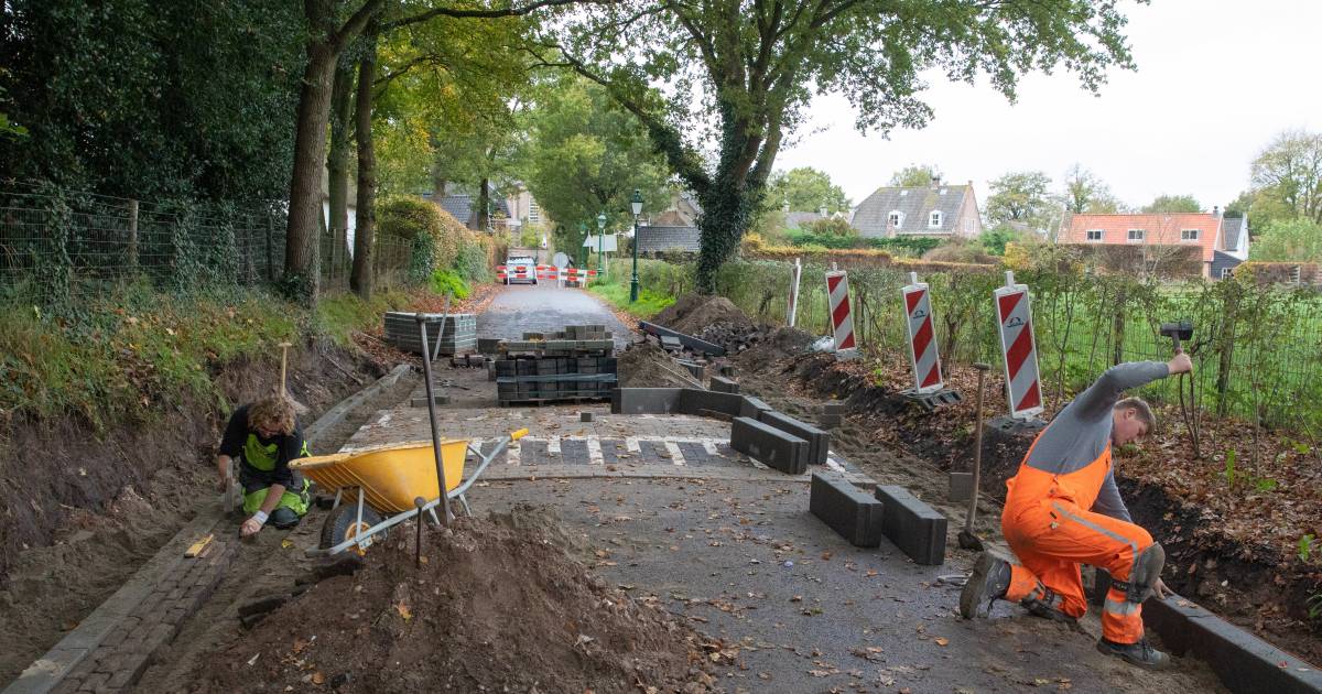 Soest handelt (toevallig) snel en legt drempel aan op plek van ongeluk ...