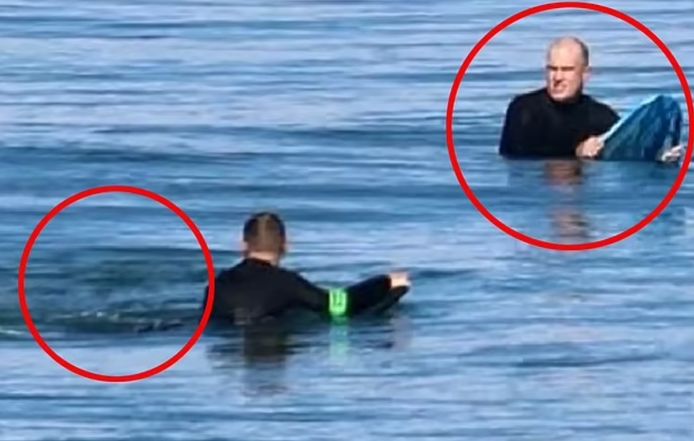 Surfer verliest been na aanval van witte haai, deze foto toont naderend ...
