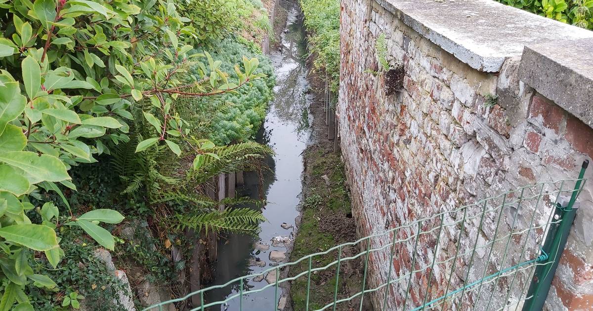 Open gracht blijft zeker tot 2022 open riool | Hoegaarden | hln.be