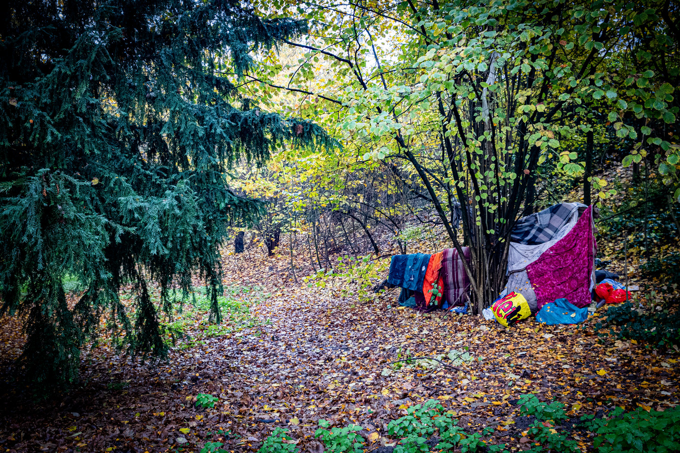 Mouwen opstropen en aan de slag, met vallen en opstaan regelt ...