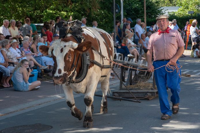 61ste Oogststoet in de sfeer van 1000 jaar Massemen | Wetteren | hln.be