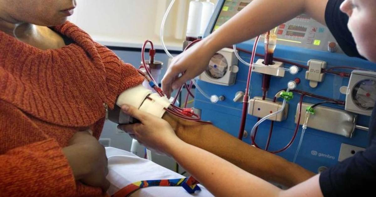 Nierdialyse voor toeristen bij CWZ | Nijmegen | gelderlander.nl