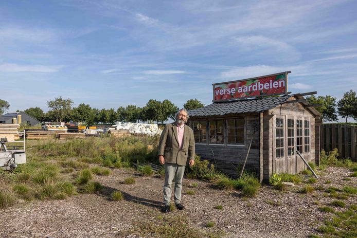Richard wil op zijn land, Corazonland, Thoolse boeren en burgers ...