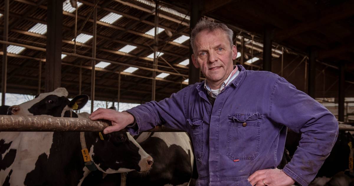 Boer Bert krijgt historisch veel geld voor liter melk (maar heeft ook ...