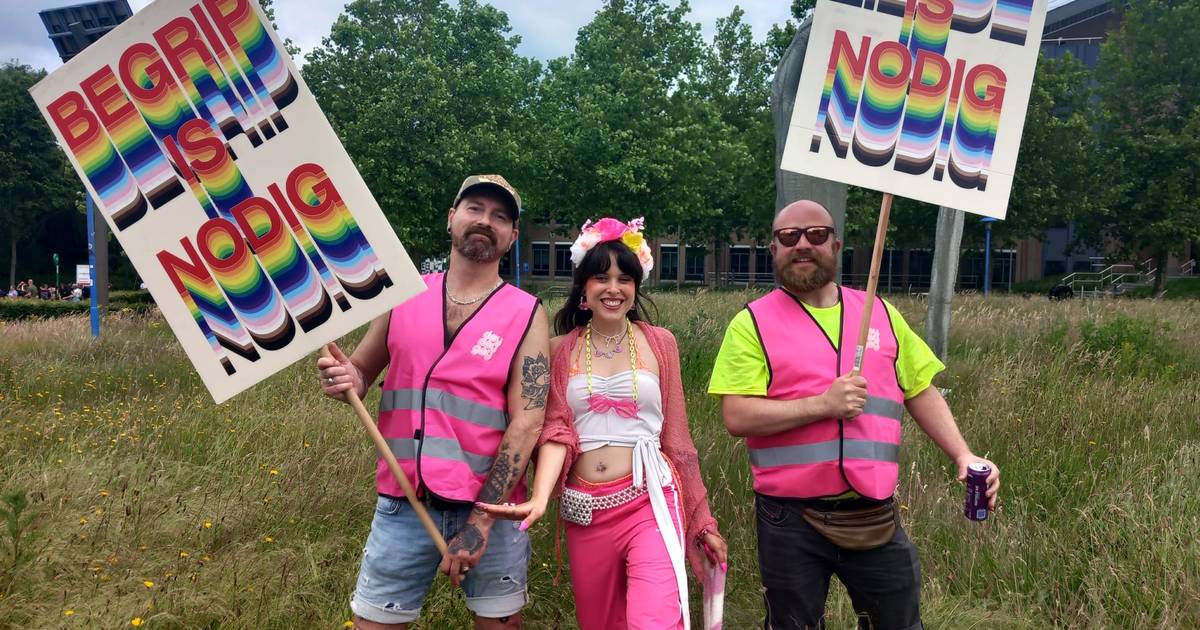 Van verborgen feest naar trotse stoet: Eindhoven viert diversiteit met ...