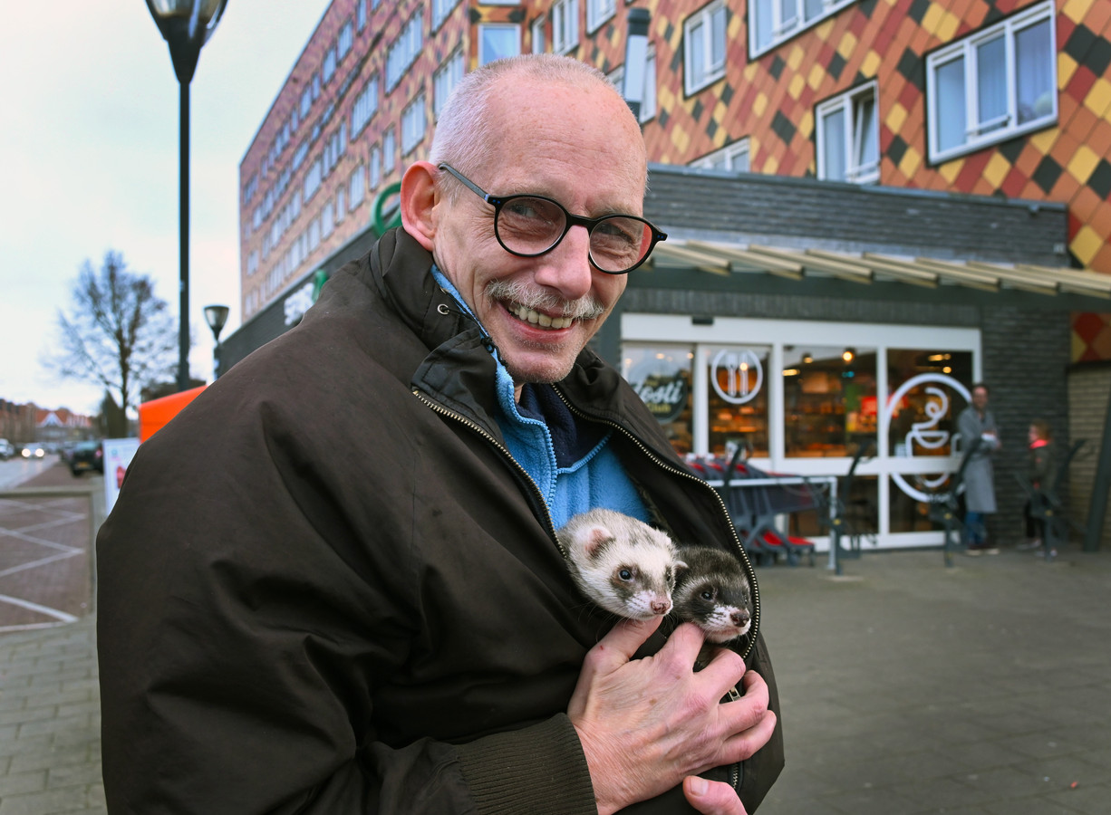 John uit Vlissingen: iedereen wil mijn fretjes zien | Foto | pzc.nl