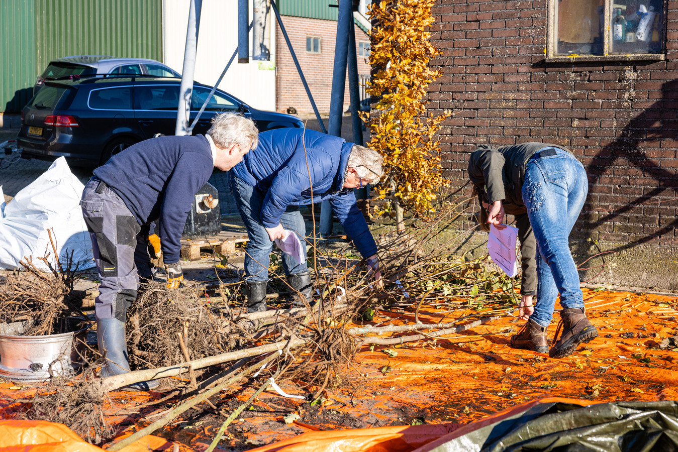 2199 bomen uitgedeeld in Zwartewaterland: ‘Doel is 1,1 miljoen nieuwe ...