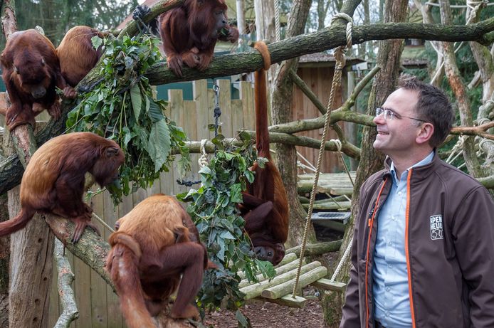 Gorilla's Apenheul delen ontbijt met nieuwe directeur | Apeldoorn ...