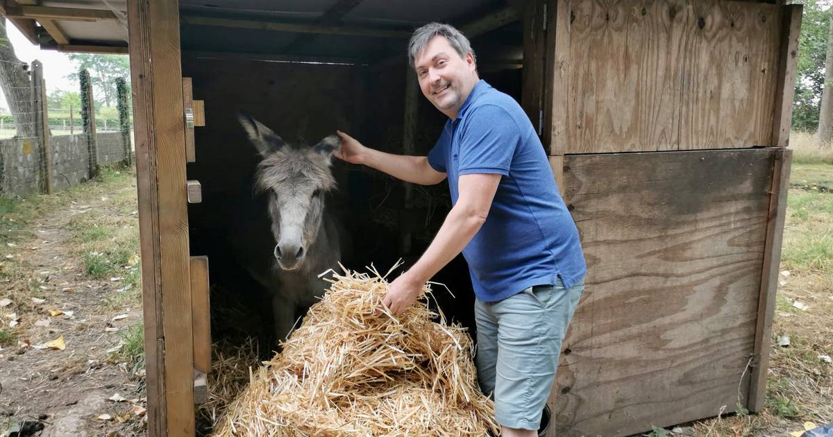 Grootste fan van Les Gilles de Strépy: Andreas de ezel eet de vulling ...