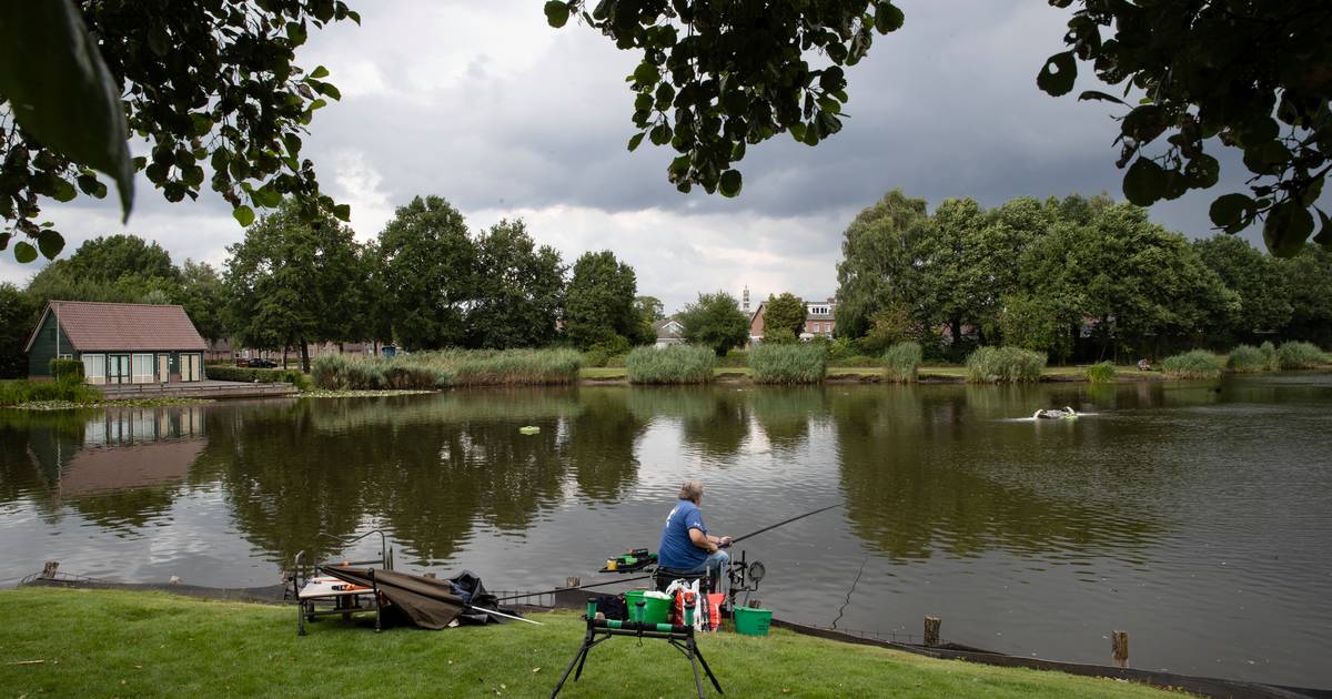 Gemertse oliehandelaar Jos Maas is ‘helemaal klaar’ met gemeentebestuur ...