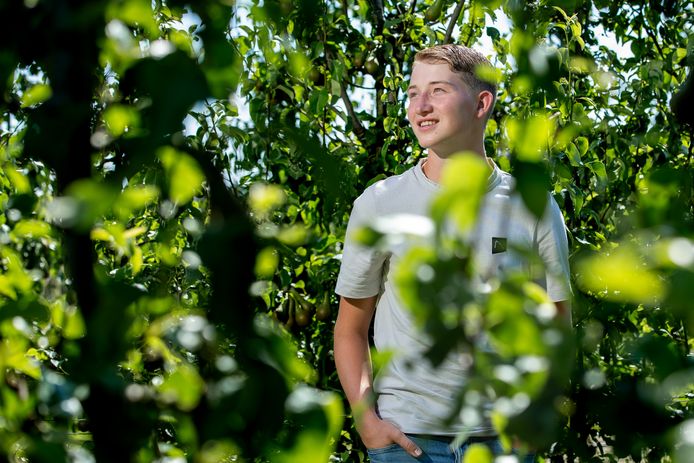 Luuk (19) bedacht iets slims voor Nederlandse fruittelers | West Maas ...