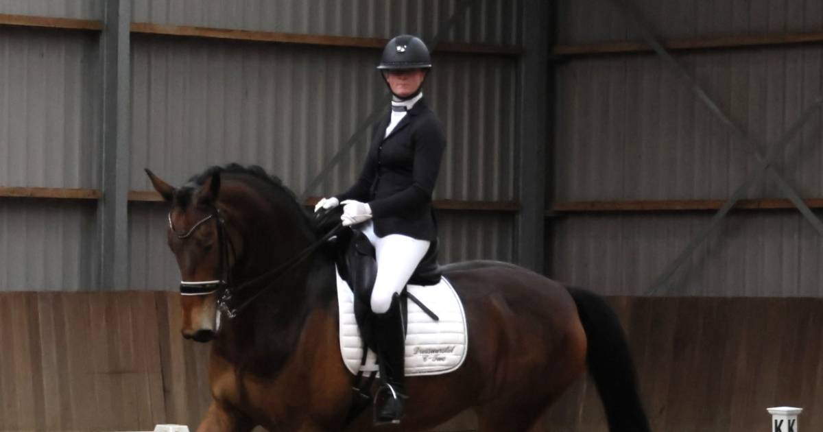 Thuisonderwijs levert Marijke van Giesen en Maifleur II winst op bij ...