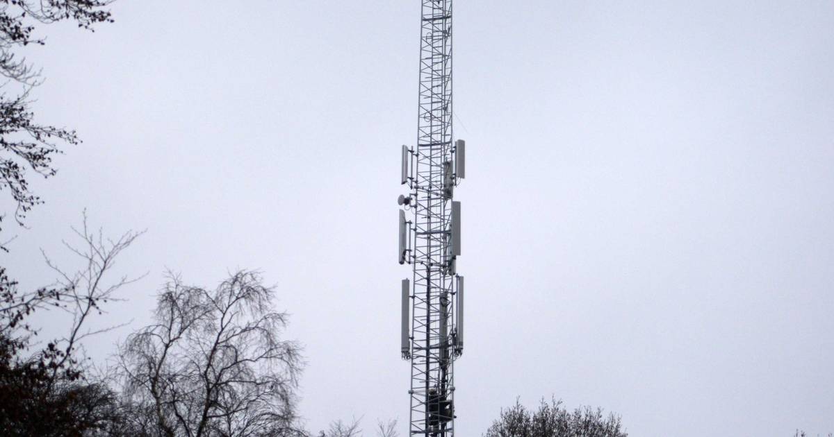 Nieuwe zendmast voor hulpdiensten in bos Gilze: ‘Hij komt misschien net ...