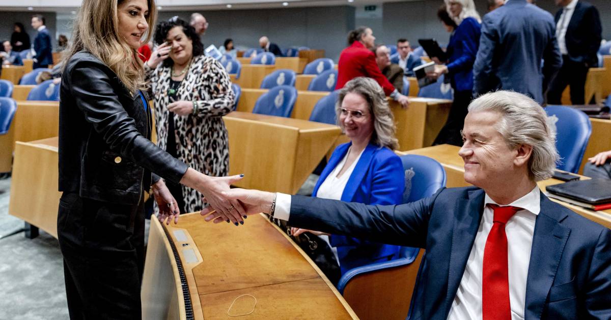 Onderzoek: ‘Late PVV-stemmers wilden voorkomen dat links of VVD ...