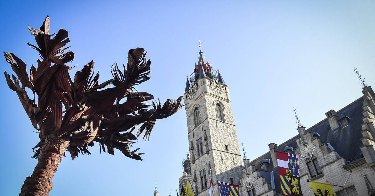 'Palmboom' opnieuw op Grote Markt | Dendermonde | hln.be
