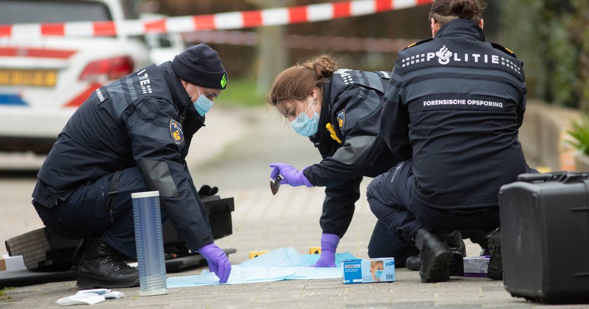 4 jaar cel en tbs voor Johan P. (40), die buurman uit het niets ...