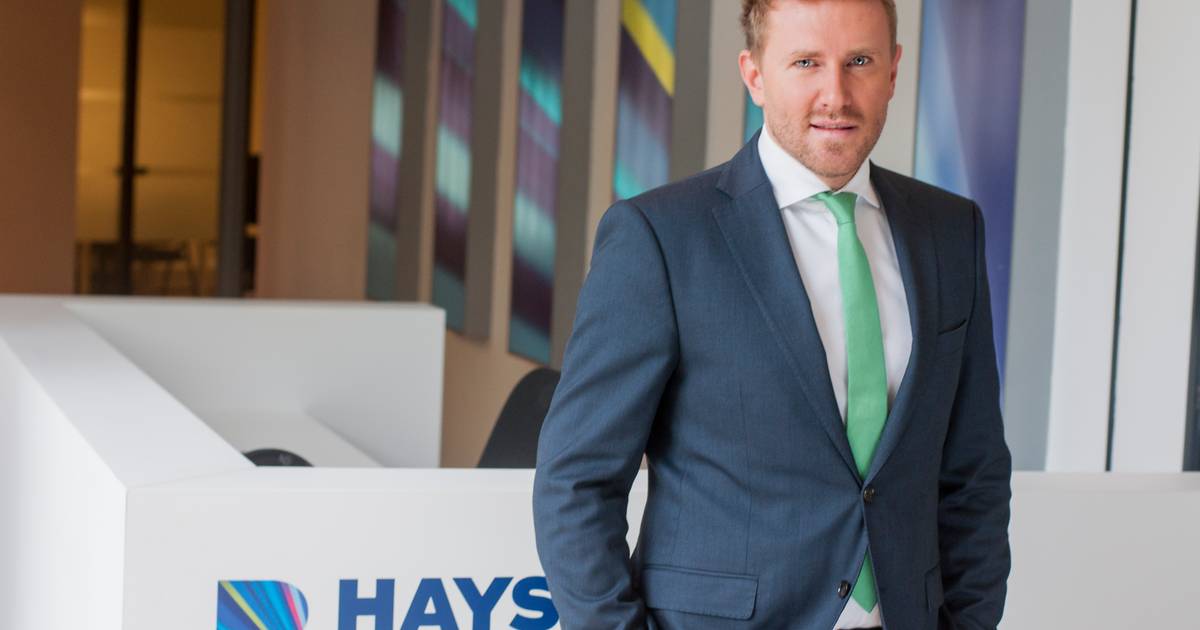 Nieuw kantoor Hays officieel geopend | Herentals | hln.be