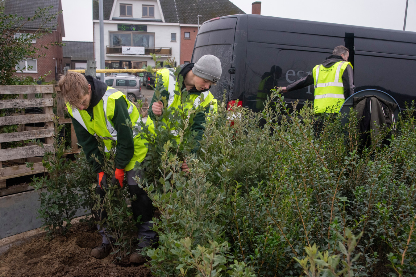 Leerlingen Scheppers en boomkwekers planten microbos aan op nieuwe rotonde: “Visitekaartje voor ...