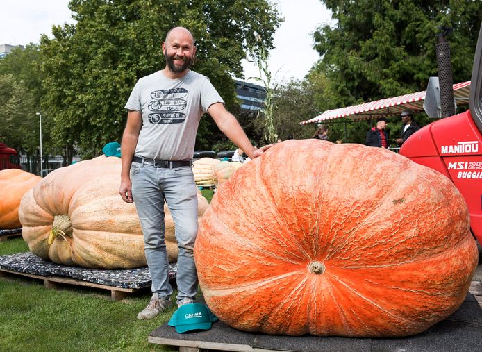 Hoe kweek je een giga pompoen van 600 kilo? Deelnemers aan het NK weten ...