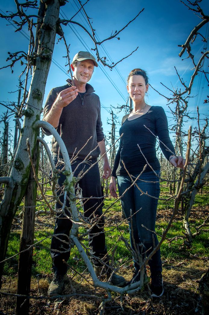 René en Thea Elshof telen de Elshof Elstar in Balgoij | Maas en Waal | gelderlander.nl