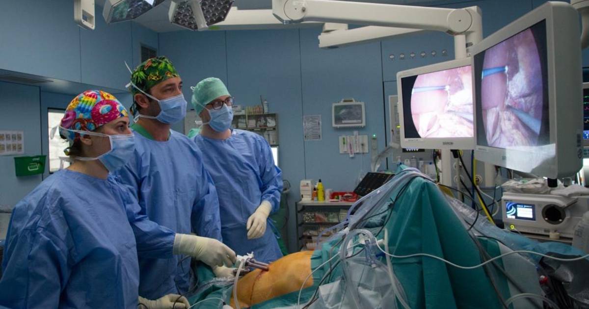 Topchirurg voert 400ste leveringreep via kijkoperatie uit: “Zo veel ...