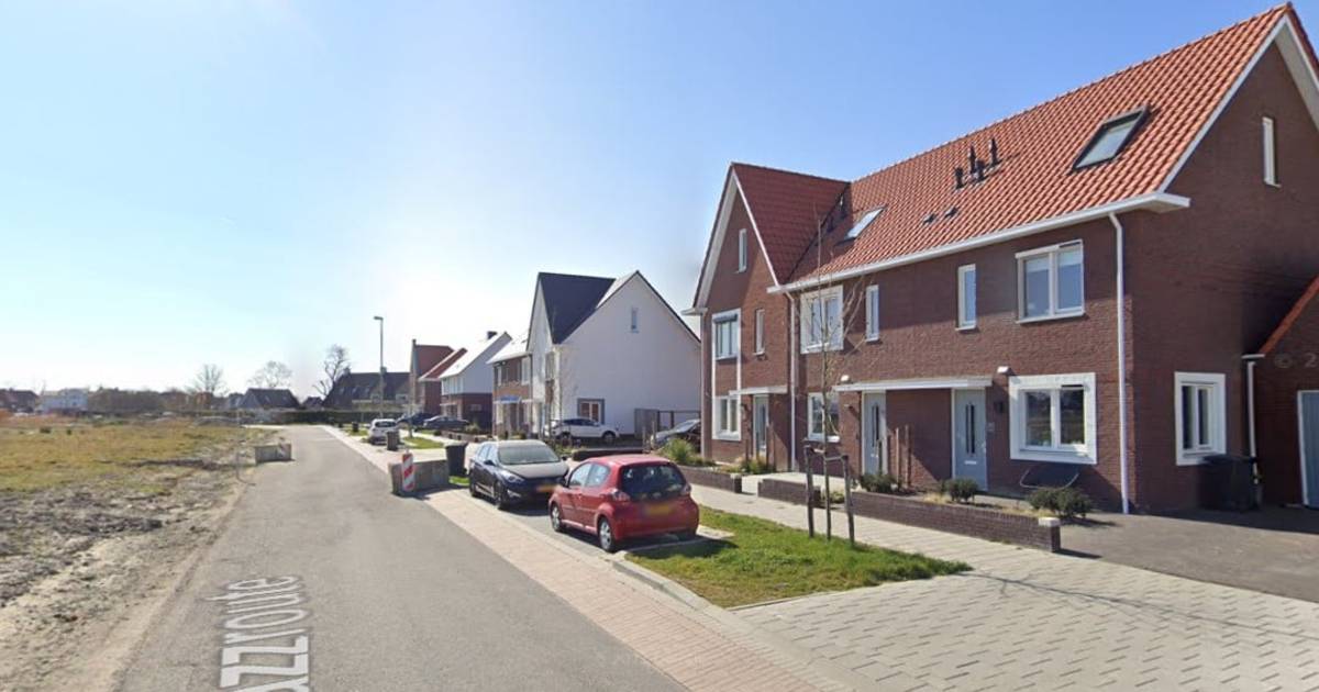 Tijdmachine: zo zag de wijk Mortiere er vroeger uit | Zeeland | bndestem.nl