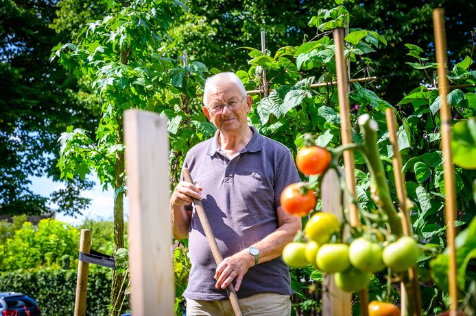 Ben (82) alwéér bestolen uit zijn moestuin: ‘Blijf met je poten van ...