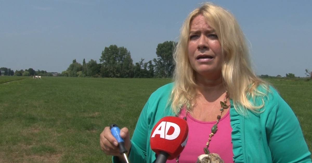 Van Rooy kan ook na veroordeling in raad blijven | Gouda | AD.nl