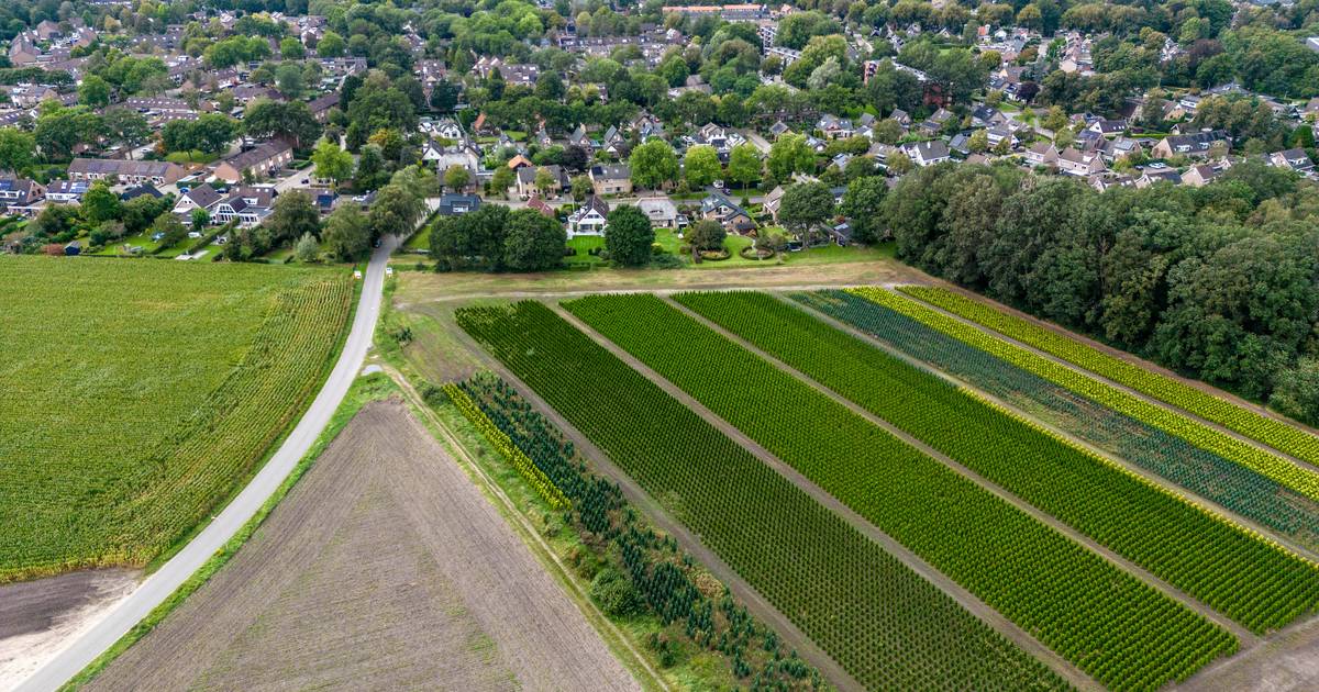 Wát gaan we bouwen? Nieuwe Woonagenda van Epe ‘moet er nu echt snel ...