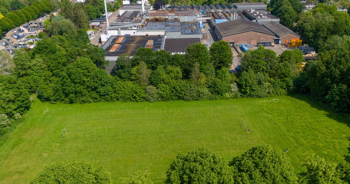 Vaassen krijgt 120 nieuwe woningen door samenwerking gemeente en Royal ...