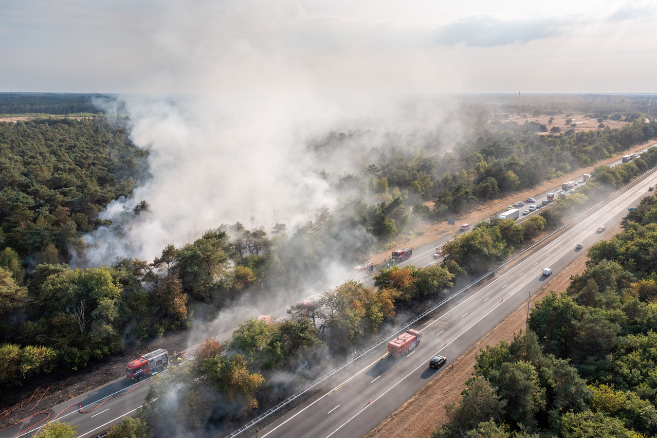 Frank overzag de chaos bij bermbrand langs A28 en waarschuwt: ‘Gevaar ...