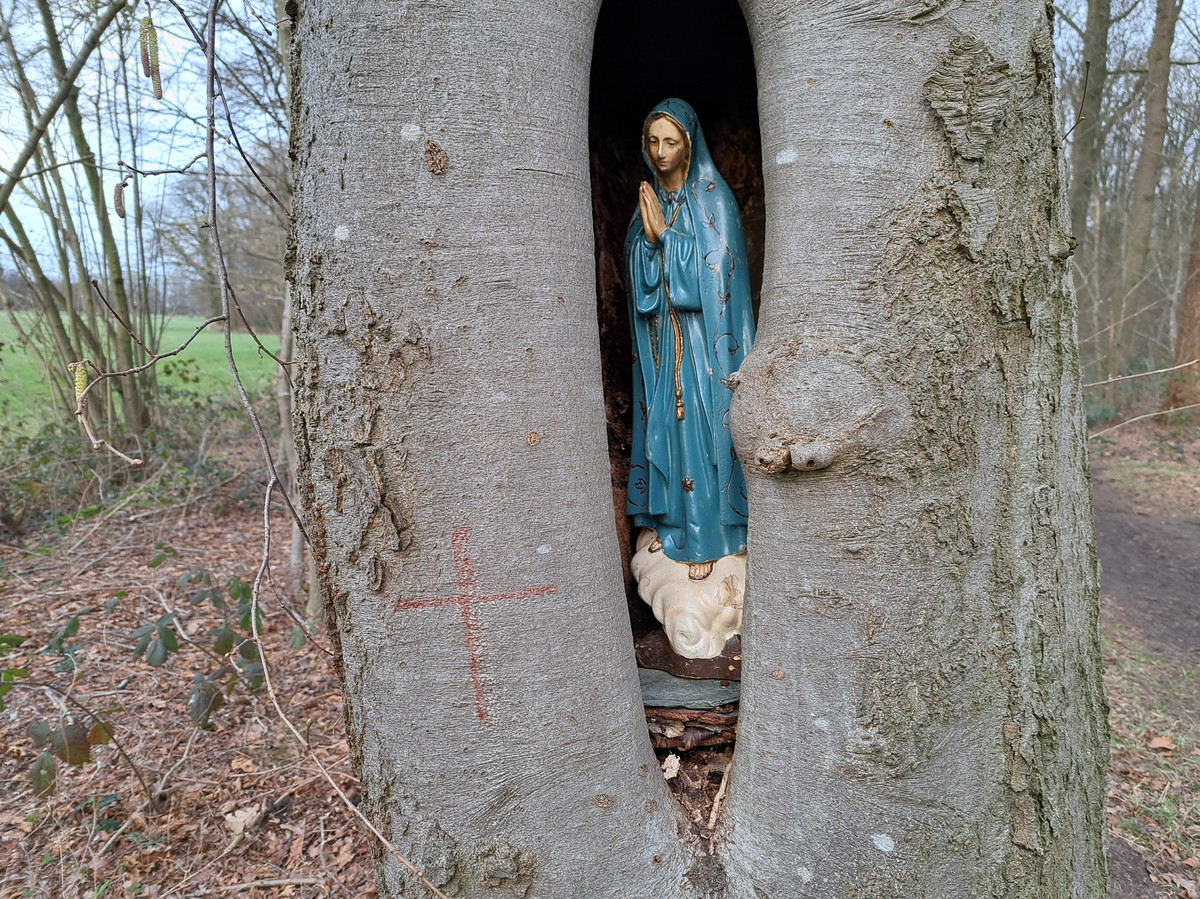 Het mysterie van Haarlo is bijna ontrafeld: ‘Maria staat binnen en ...