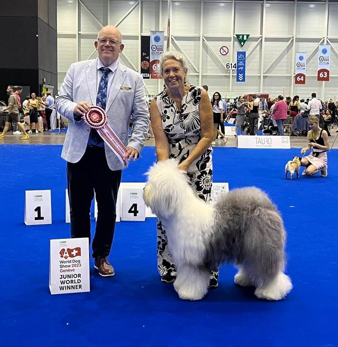 Chris (67) behaalt wereldtitel met haar bobtail: “Tussen 35 andere ...