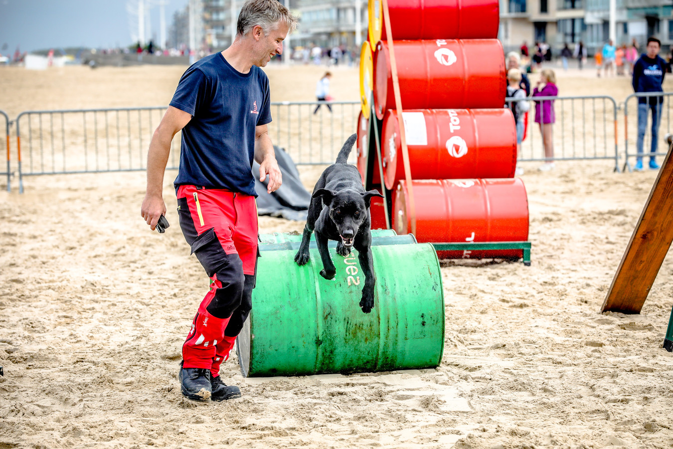 Hond en politie tonen hun samenwerking op het strand in Koksijde: “Onze ...