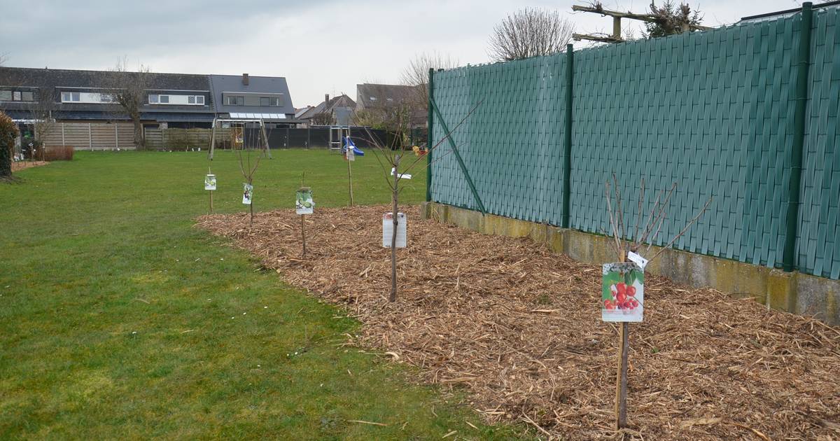 Haaltertse speeltuinen krijgen snoephagen waarvan inwoners bessen of ...