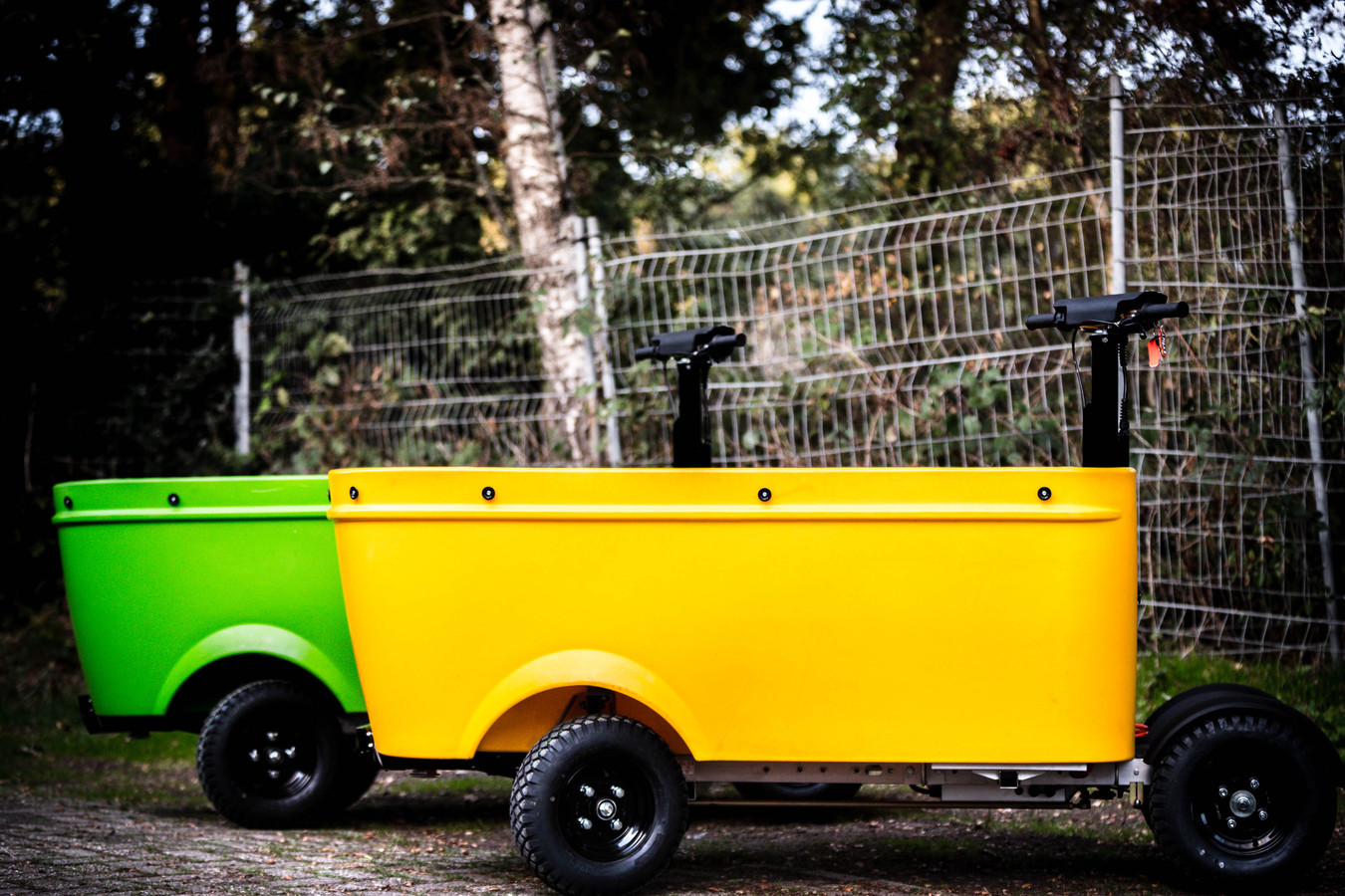 Stints blijven aan de ketting | Foto | AD.nl
