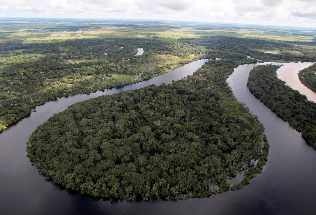 Groen licht voor wegen door Amazonewoud | Foto | AD.nl