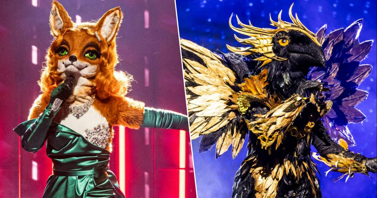 Onze man speurt mee naar ‘The Masked Singer’: “Er rest nog maar één ...