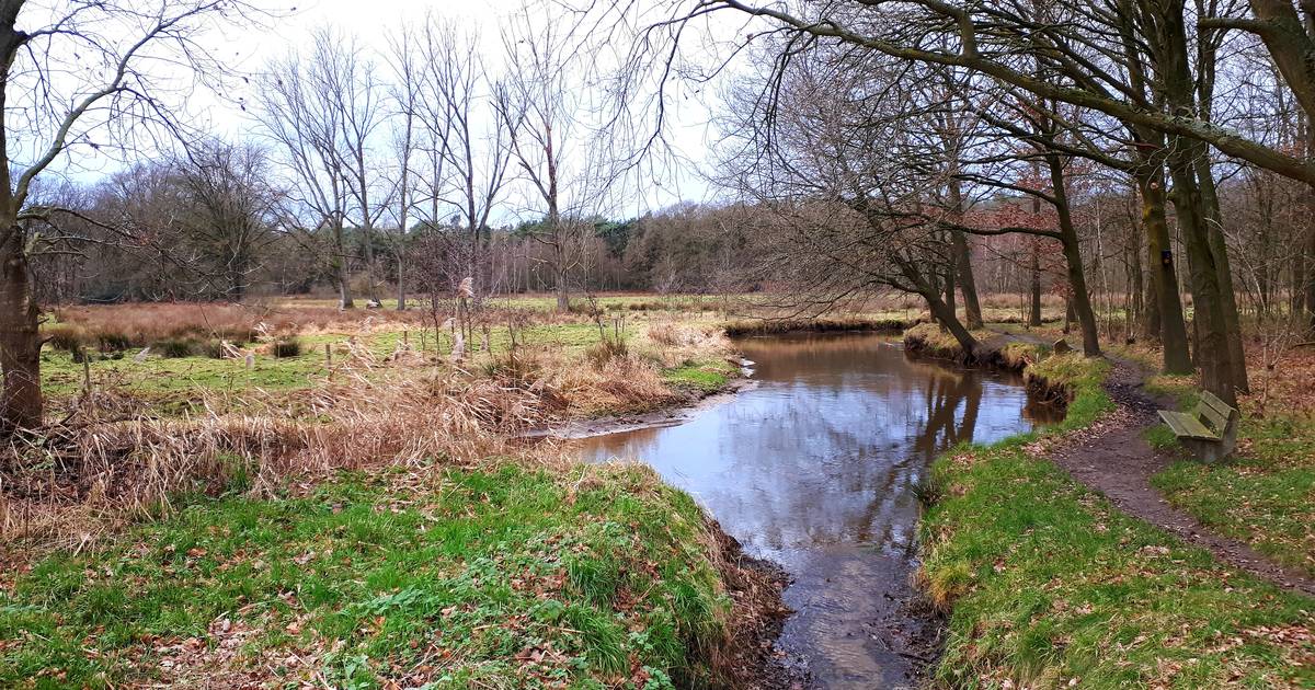 De Dommel komt vol poepbacteriën ons land binnen: ‘Eigenlijk is het een ...