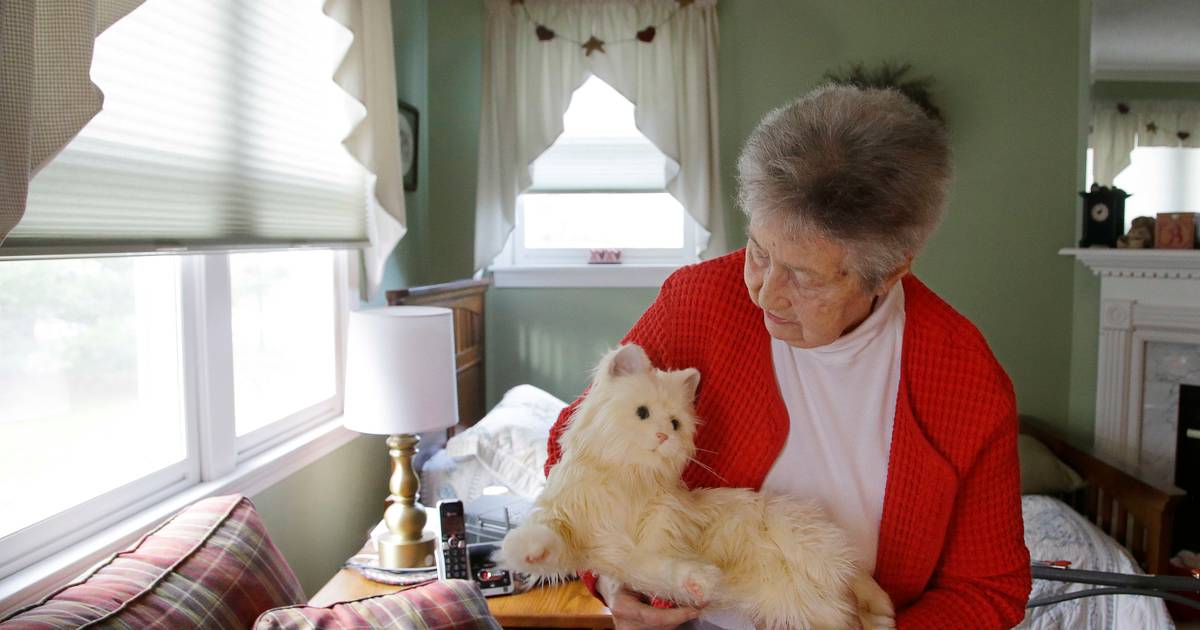 Robotkat met kunstmatige intelligentie in strijd tegen dementie ...