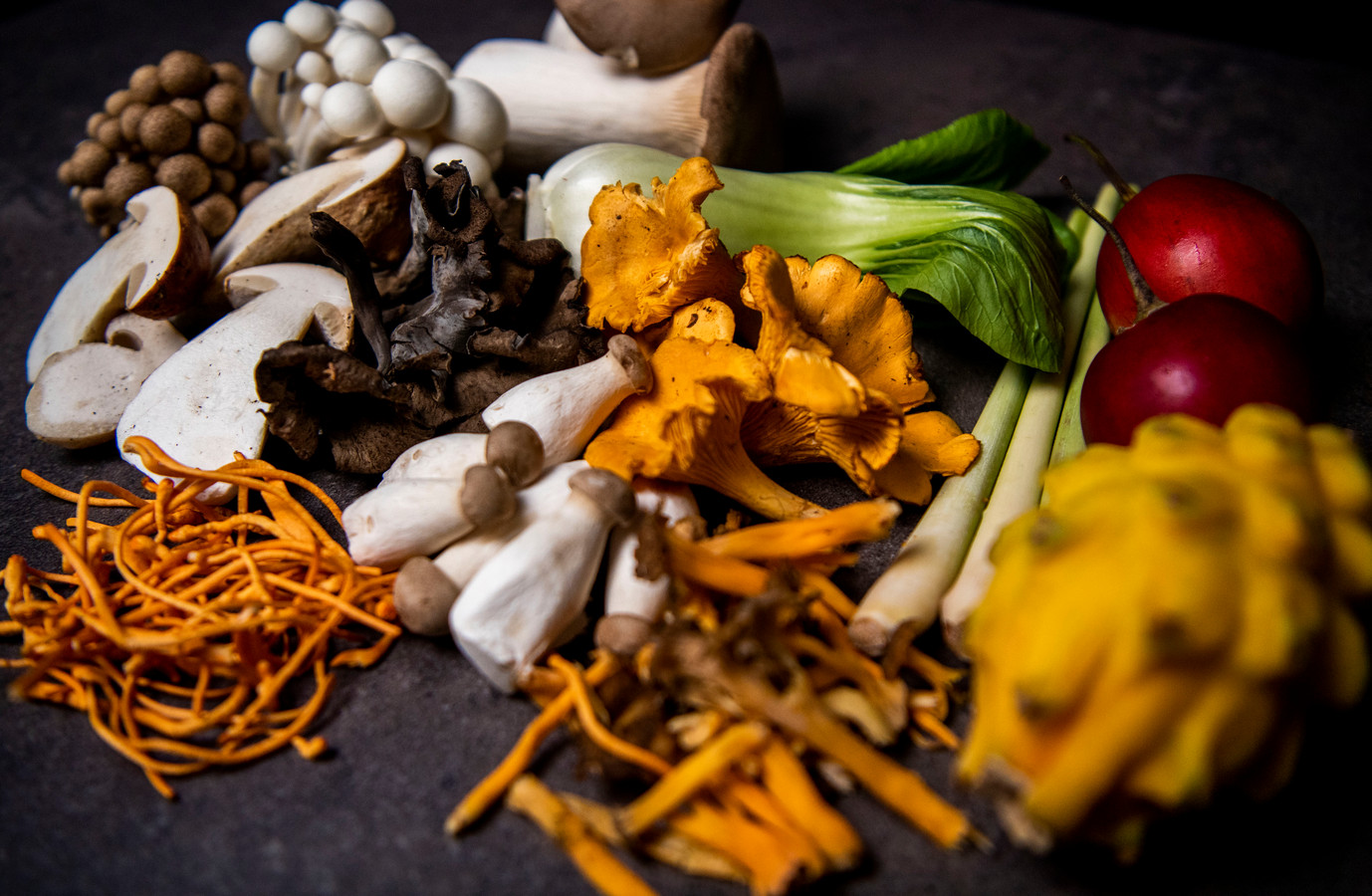 Deze eigenwijze 32-jarige bestiert de grootste exporteur van exotische ...