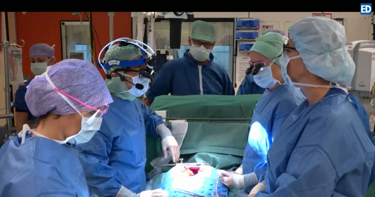 Hartoperatie voor iedereen live te volgen vanuit de huiskamer ...