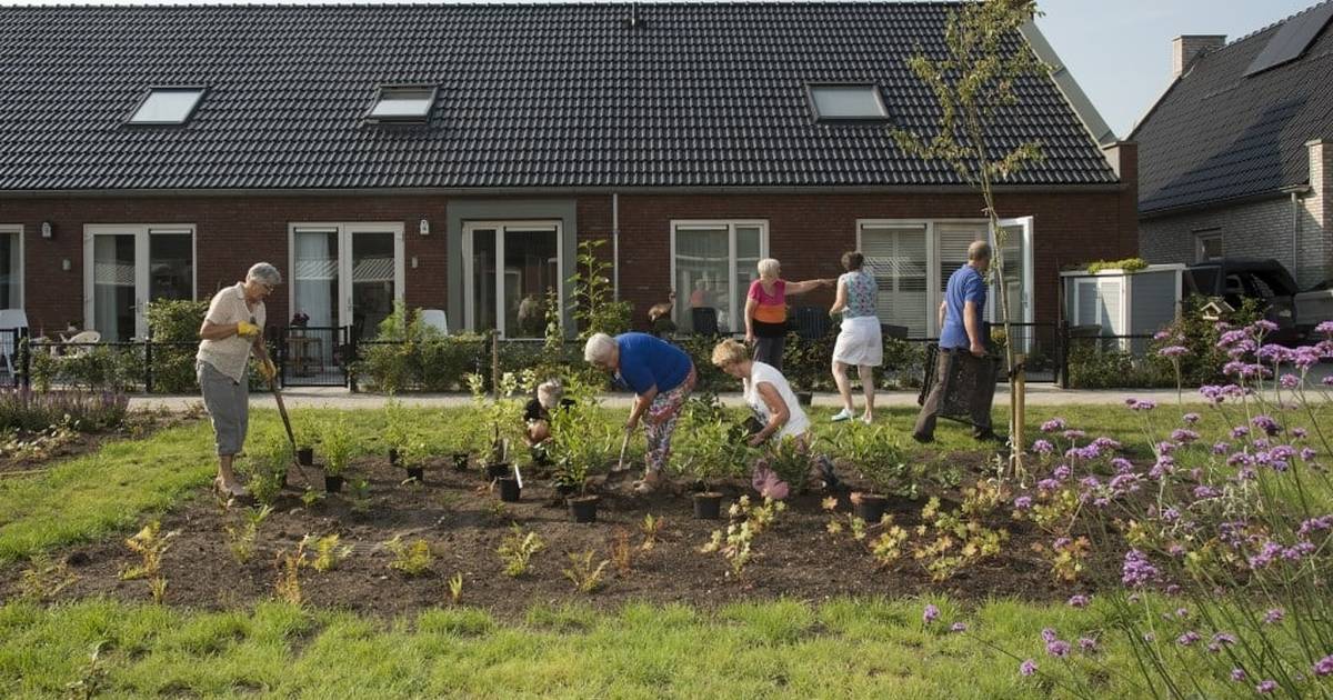 Ouderen worden ongeduldig: ‘Maak wens voor Knarrenhof nu waar ...