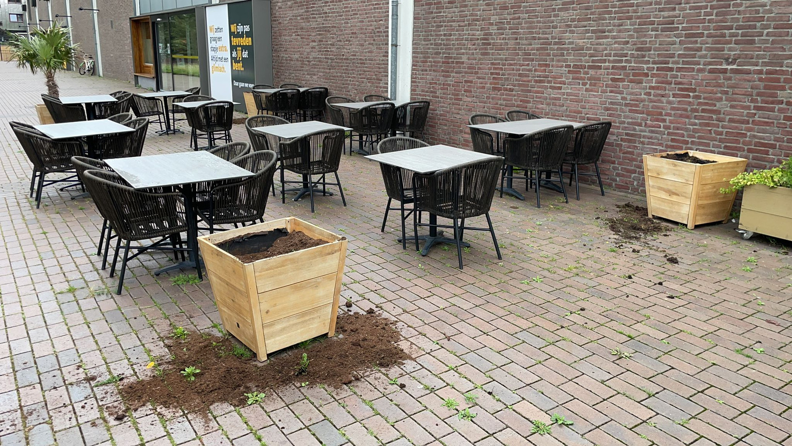 Wie heeft de palmbomen van Rafael gestolen? Sporen aarde in ...